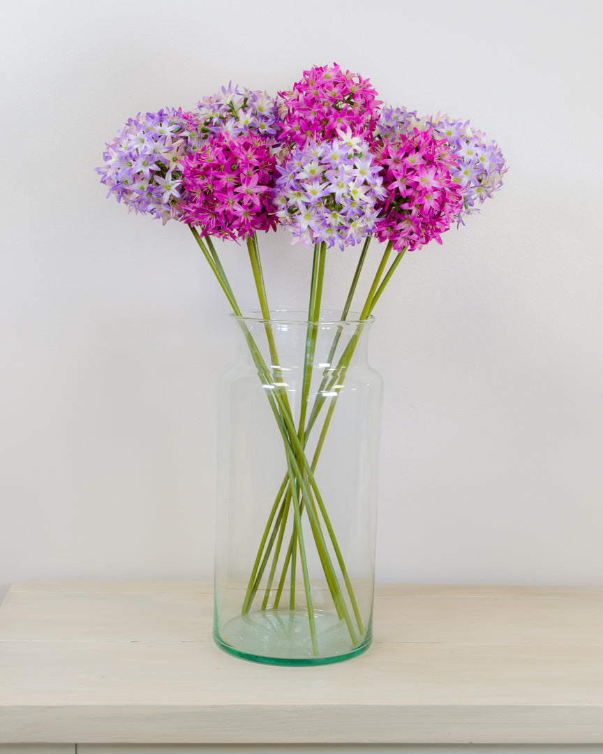 Artificial Allium Stem (2 colours) – Stem & Silk